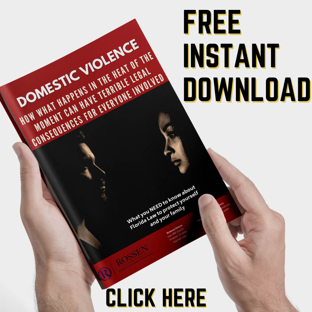 Understanding Your South Florida Domestic Violence Charges